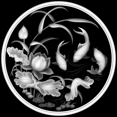 Elegant White Koi Fish and Lotus Floral Composition on Black Background ...