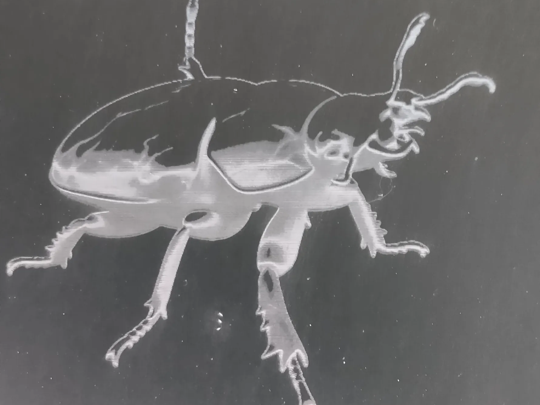 Illustration artistique d'un scarabée sur fond noir | Free Files - Atomm