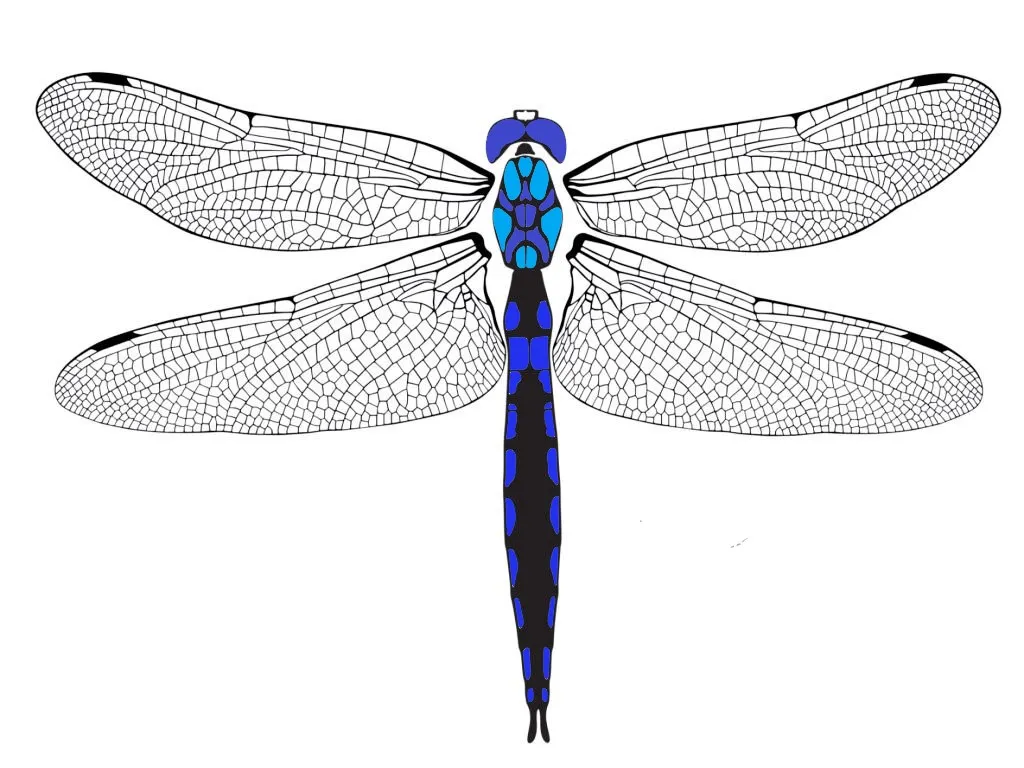 Dragon Fly Productions | Free Files - Atomm