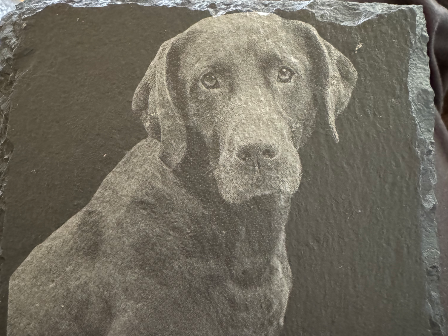 Slate Coaster with a photo of my Lab | Free Files - Atomm