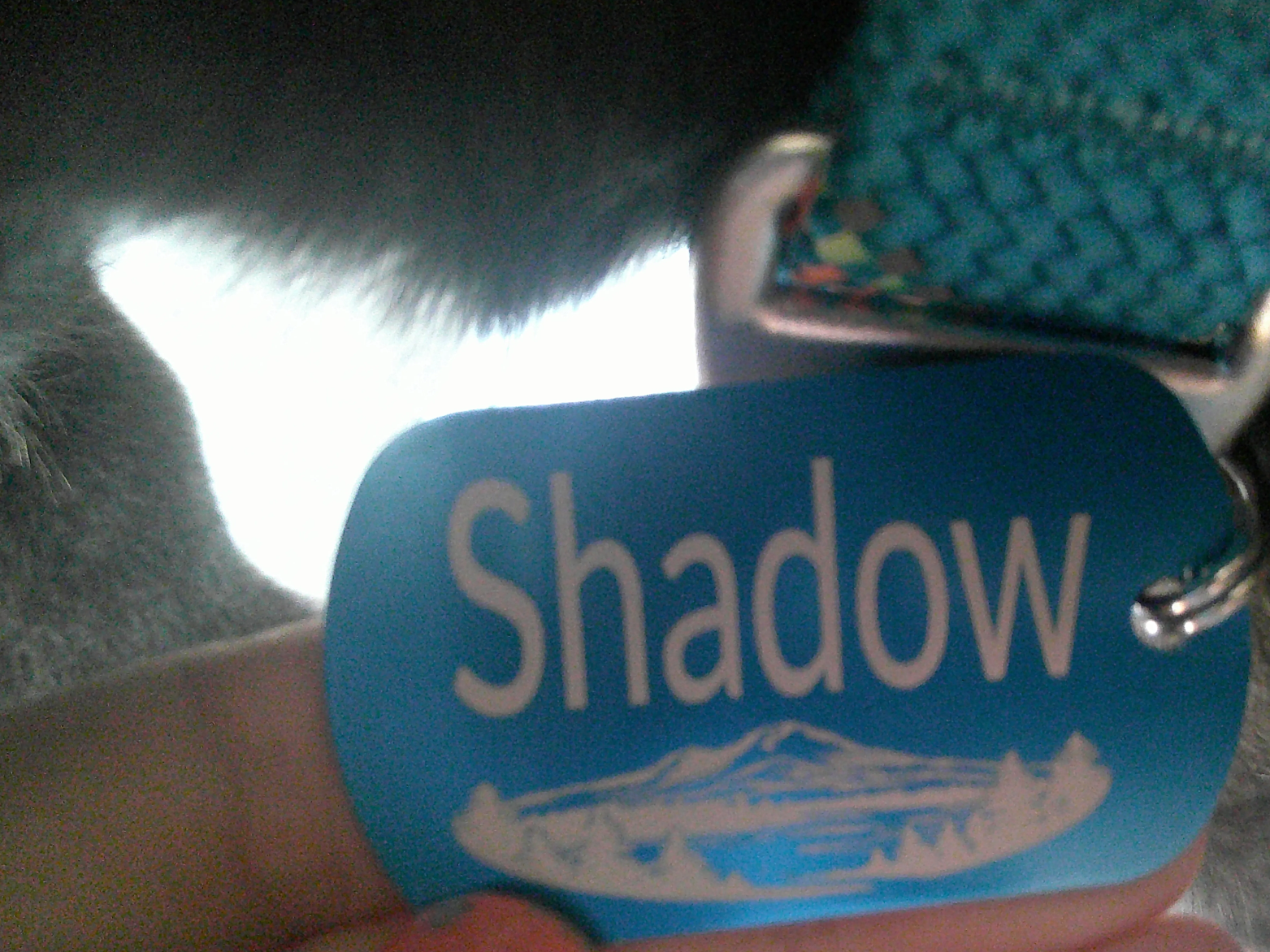 Laser cut and engrave | Engraved Blue Dog Tag with Name and Mountain ...