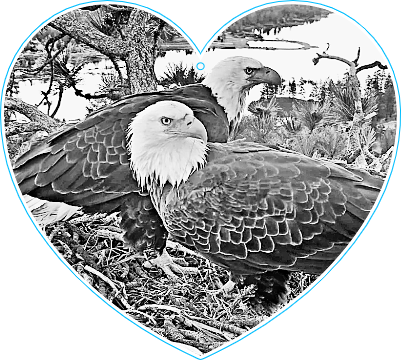 This birch wood heart was created as a tribute to Jackie, the beloved ...