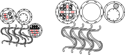 Royal Crown 3mm SVG File | Laser Cut Crown Model | Decorative Wooden ...