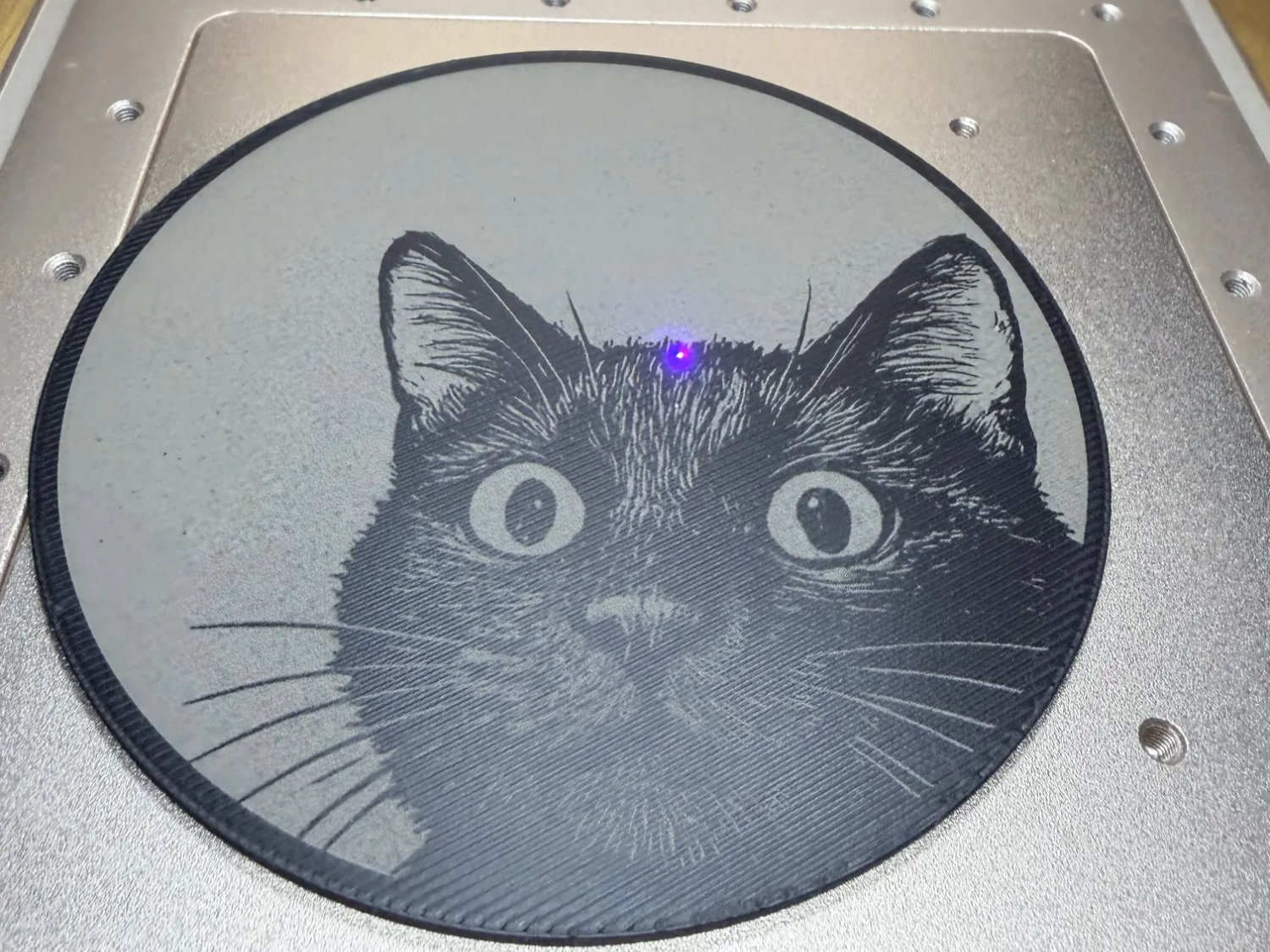 Katzen Untersetzer | Free Files - Atomm