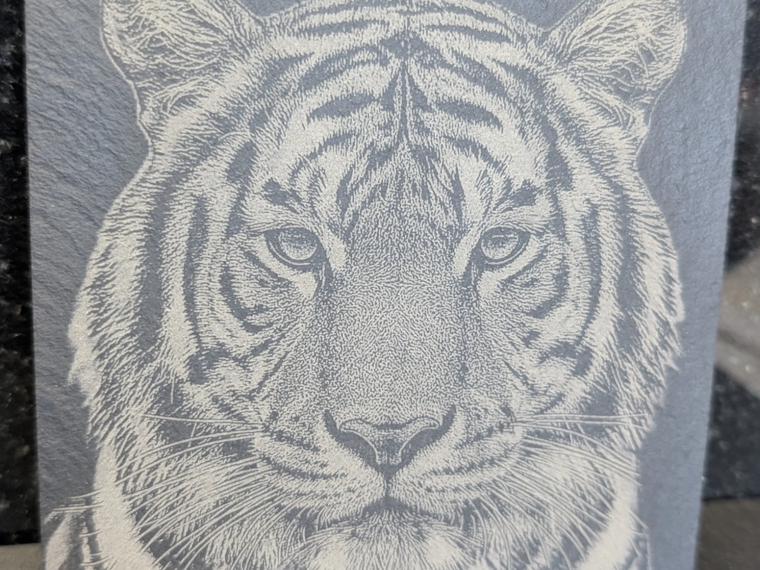 Tiger Slate Coaster | Free Files - Atomm